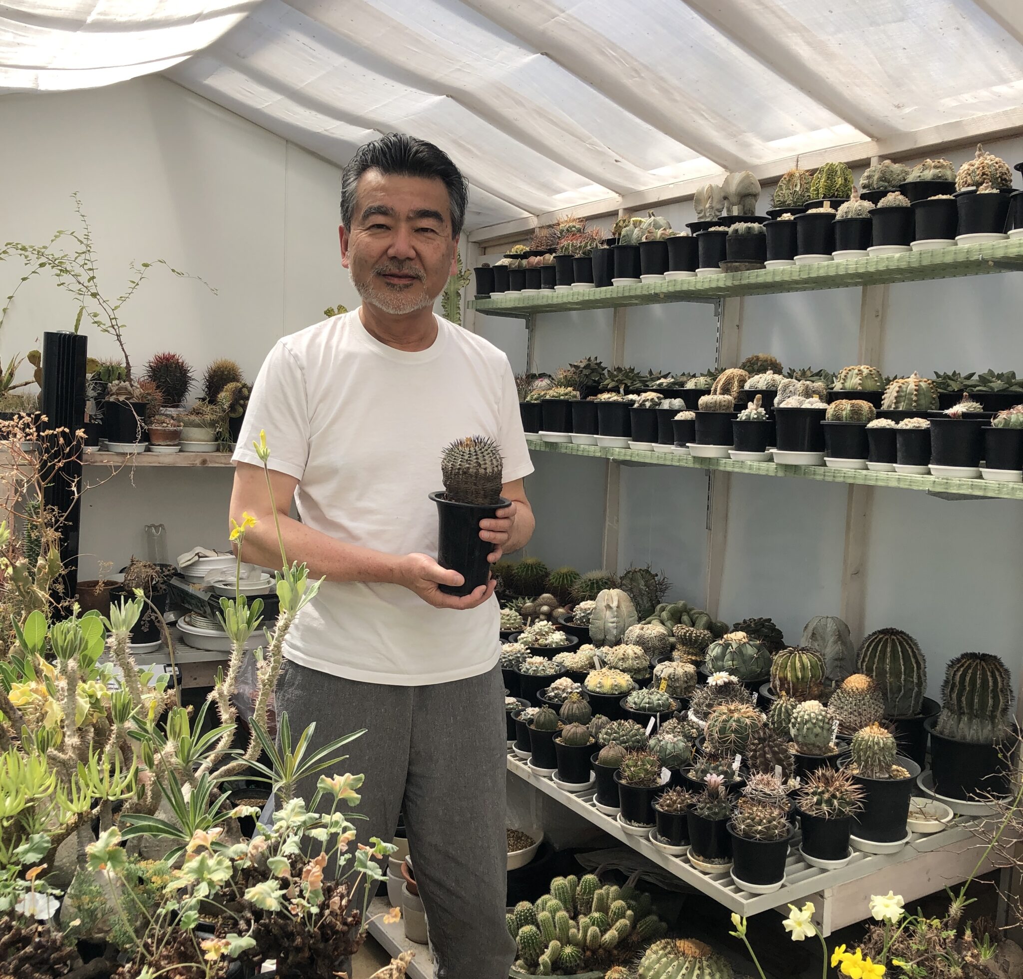 news | 納谷建築設計事務所 株式会社